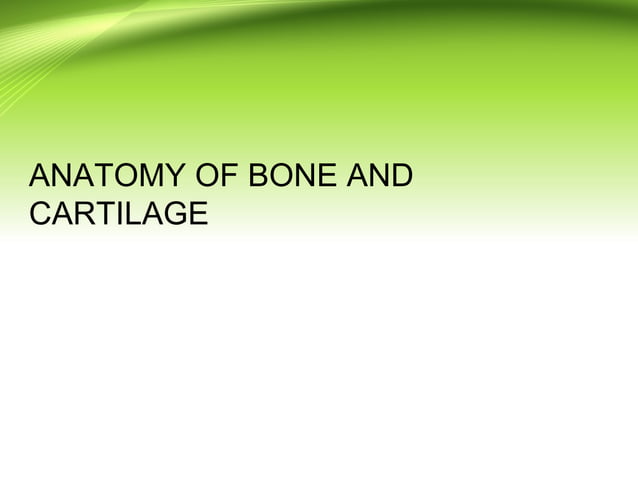 Anatomy of Bone and Cartilage: Formation, Structure and Cells | PPT