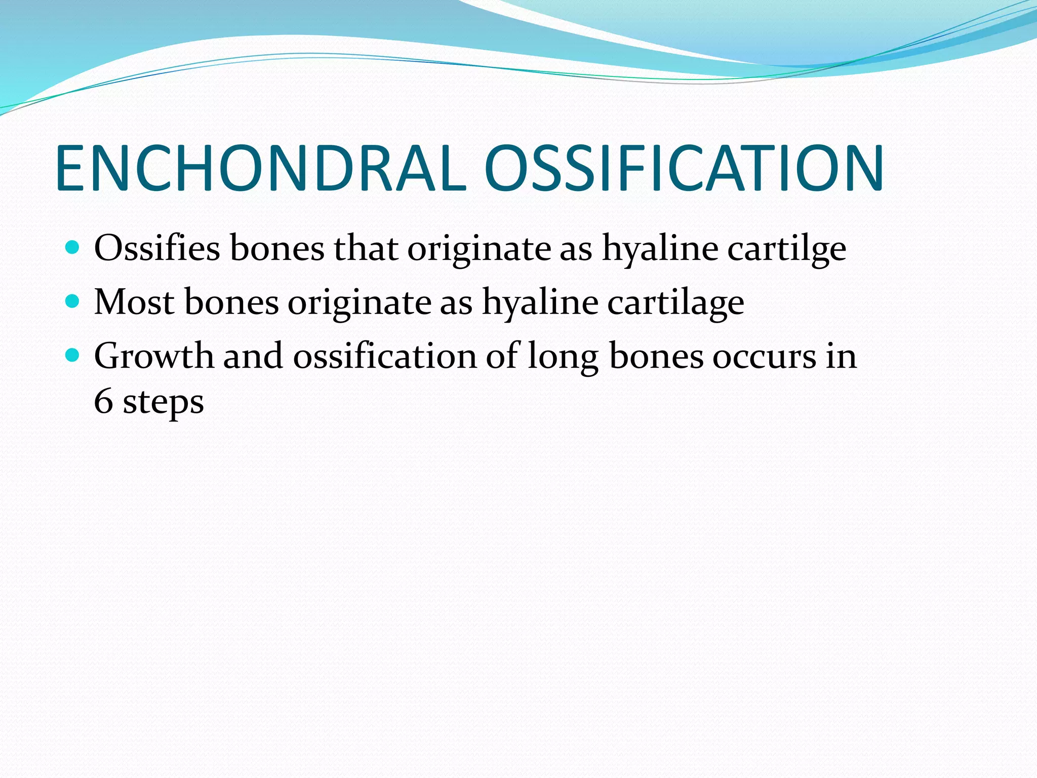 Anatomy of bone and cartilage 1 | PPTX