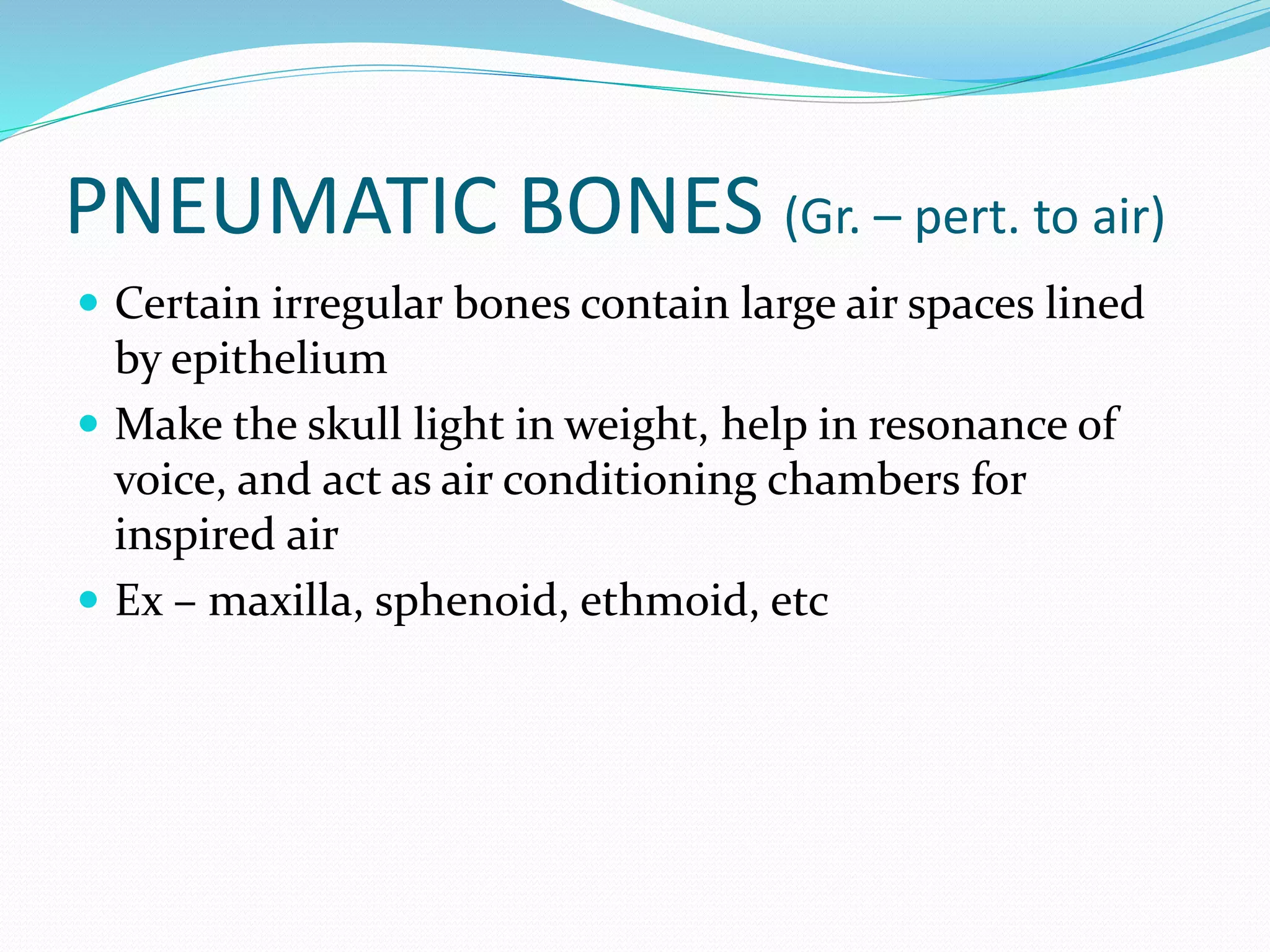 Anatomy of bone and cartilage 1 | PPTX