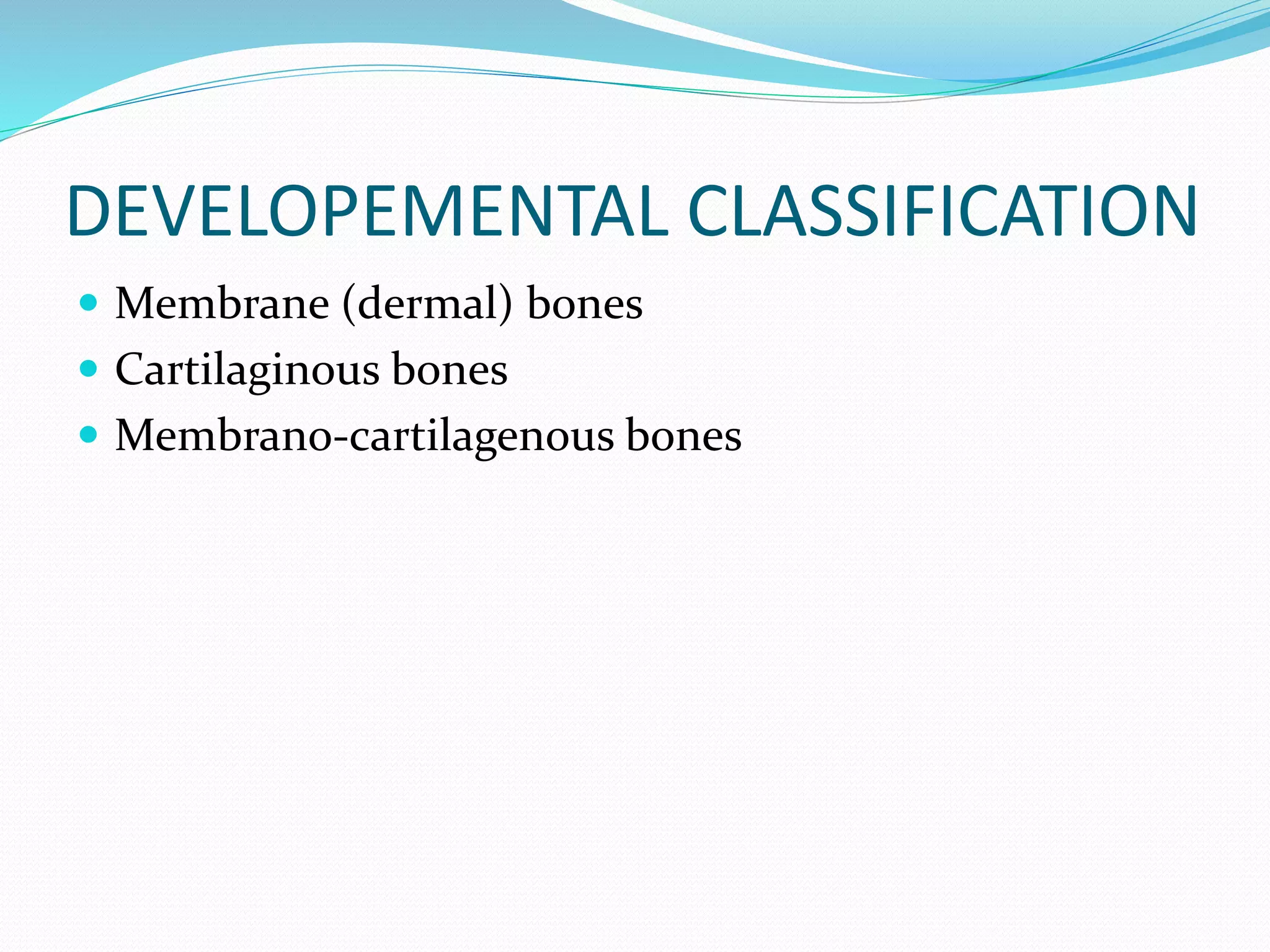 Anatomy of bone and cartilage 1 | PPTX