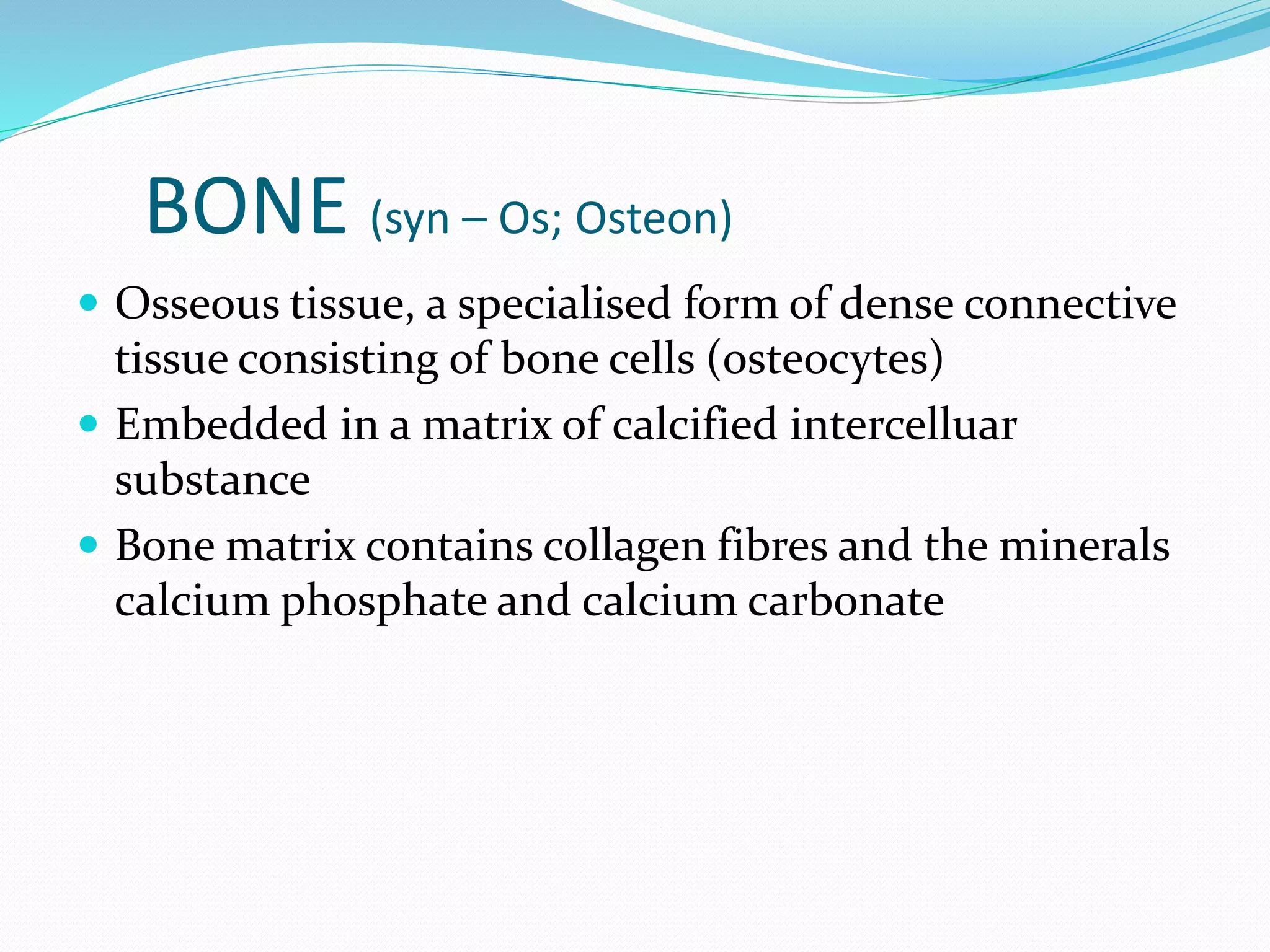 Anatomy of bone and cartilage 1 | PPTX