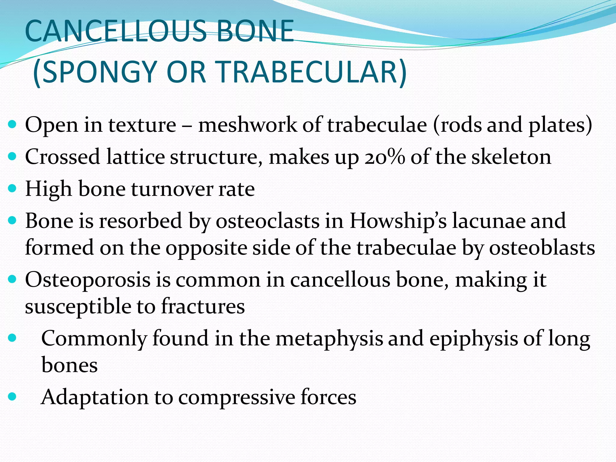 Anatomy of bone and cartilage 1 | PPTX