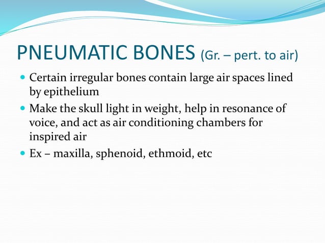 Anatomy of bone and cartilage 1 | PPTX
