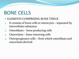 Anatomy of bone and cartilage 1 | PPTX