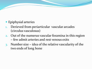 Anatomy of bone and cartilage 1 | PPTX