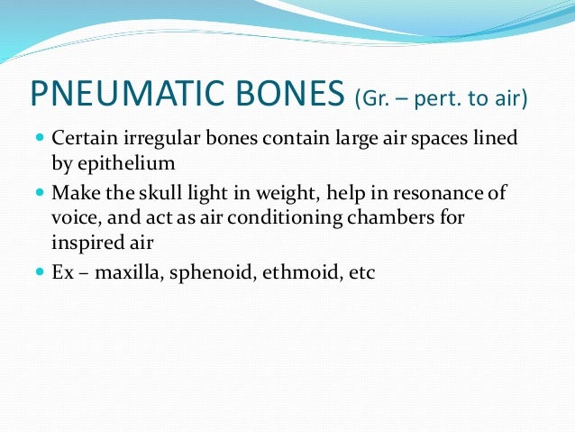 Anatomy of bone and cartilage 1