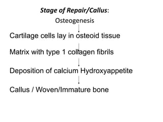 Anatomy of Bone and Fracture Healing.ppt