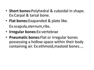 Anatomy of Bone and Fracture Healing.ppt