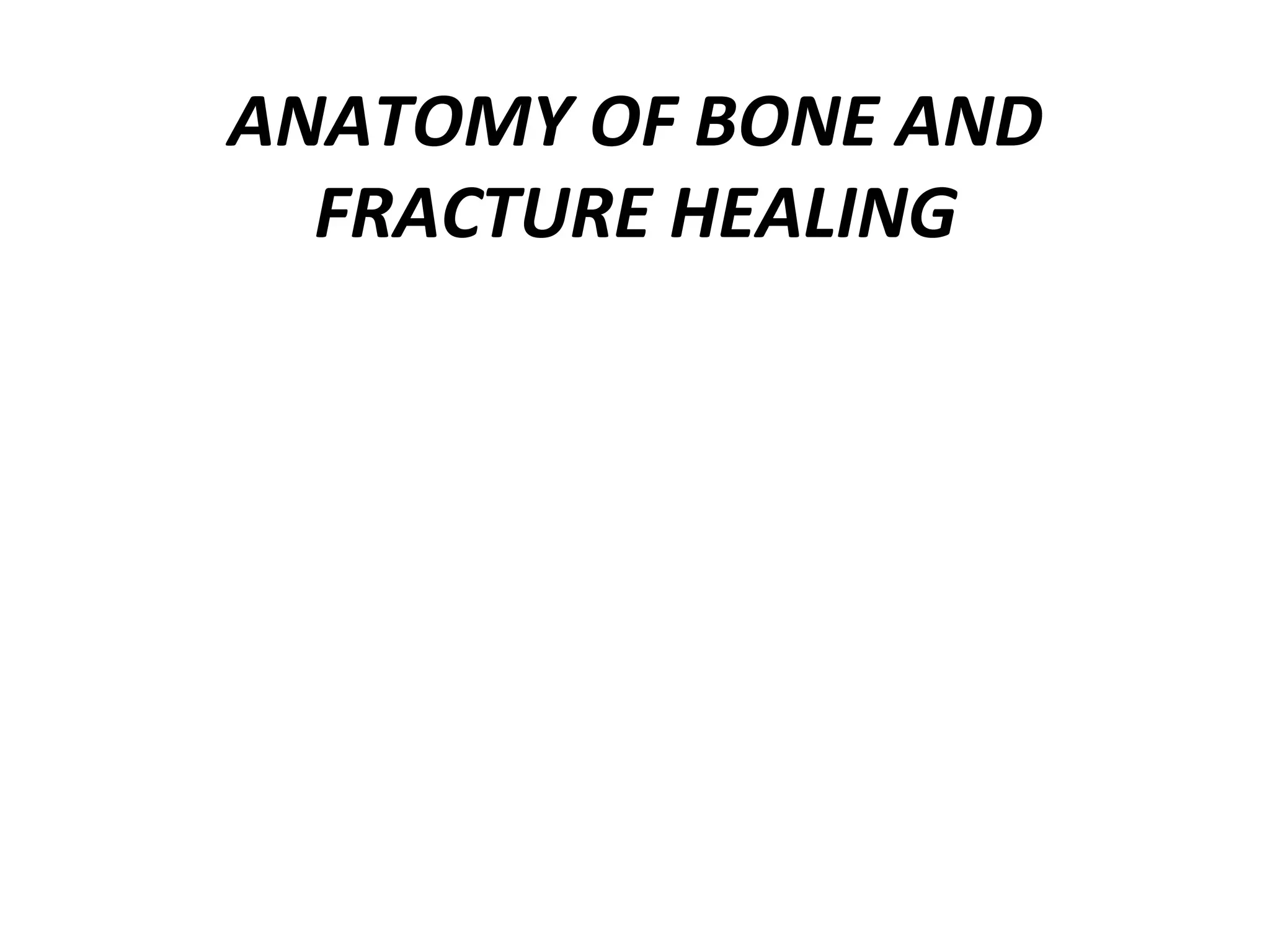 Anatomy_of_Bone_and_Fracture healing in ortho | PPTX