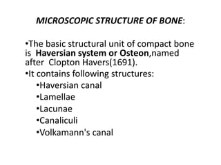 Anatomy_of_Bone_and_Fracture healing in ortho | PPTX