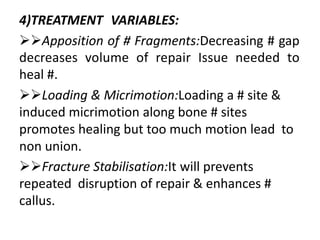 Anatomy_of_Bone_and_Fracture healing in ortho | PPTX