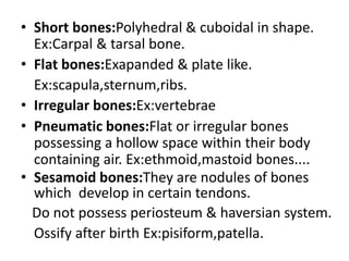 Anatomy_of_Bone_and_Fracture healing in ortho | PPTX