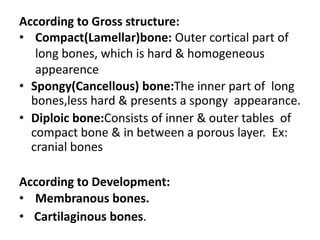 Anatomy_of_Bone_and_Fracture healing in ortho | PPTX