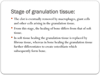 Anatomy of Bone and Fracture Healing.pptx