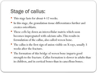 Anatomy of Bone and Fracture Healing.pptx