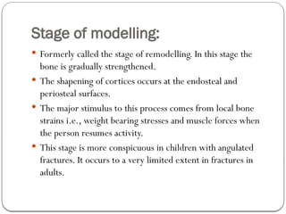 Anatomy of Bone and Fracture Healing.pptx