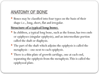 Anatomy of Bone and Fracture Healing.pptx