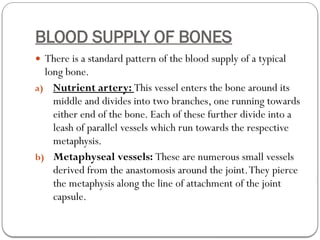 Anatomy of Bone and Fracture Healing.pptx