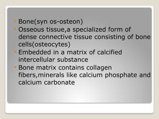 Anatomy of bone and its function adults.ppt