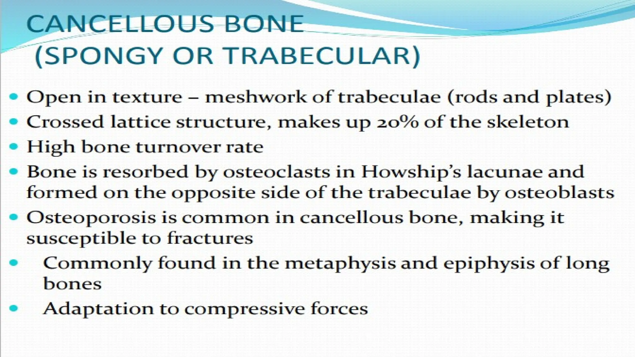 ANATOMY OF BONE CARTILAGE copy presentation | PPTX | Death, Injury, or ...