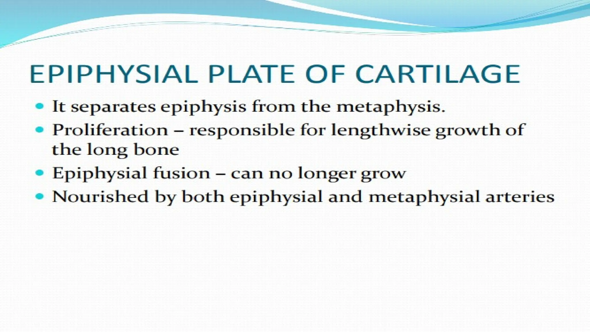 Anatomy Of Bone Cartilage Copy Presentation Ppt