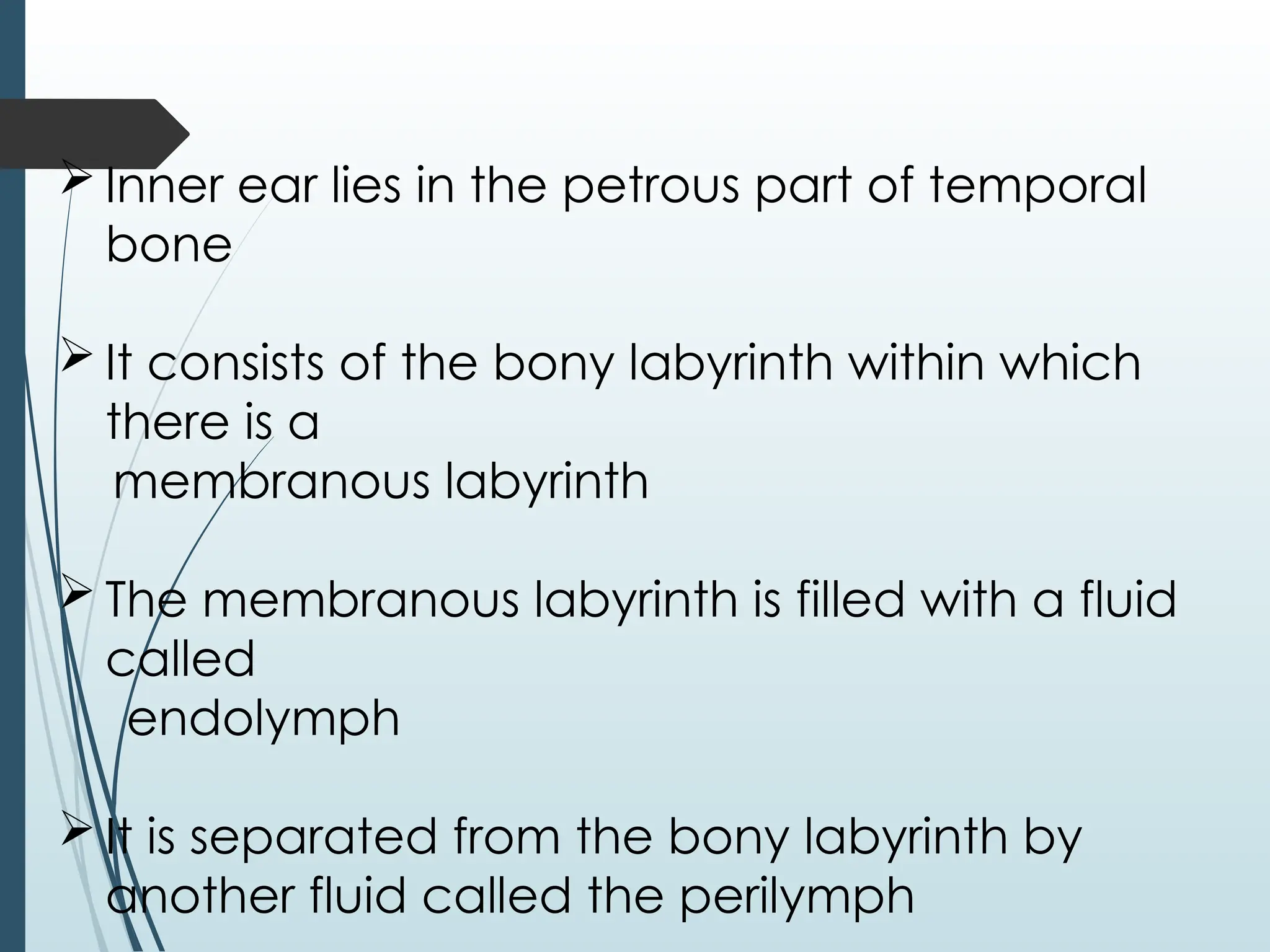 Anatomy of Bony labyrinth.ppt . | PPT