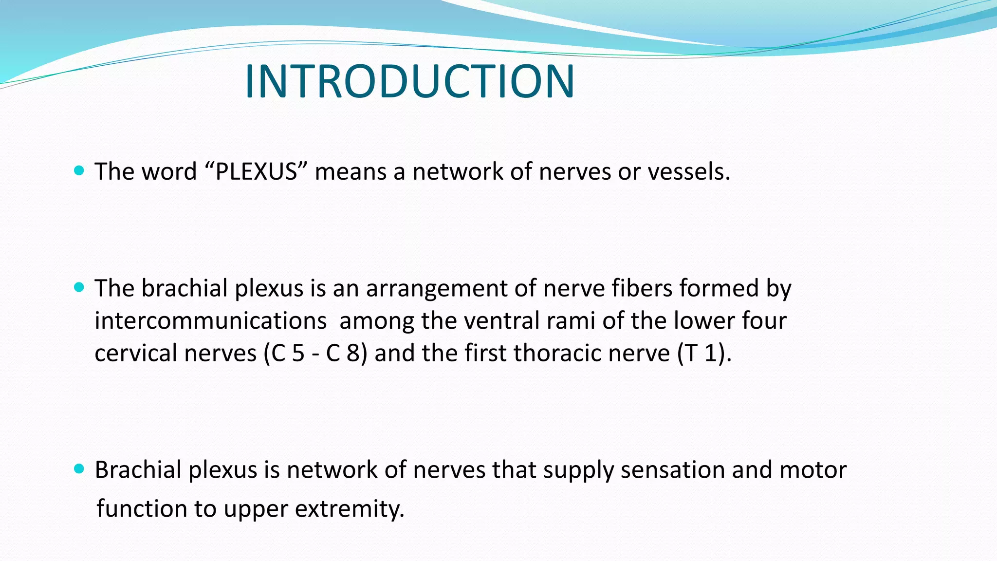 Anatomy of brachial plexus | PPTX