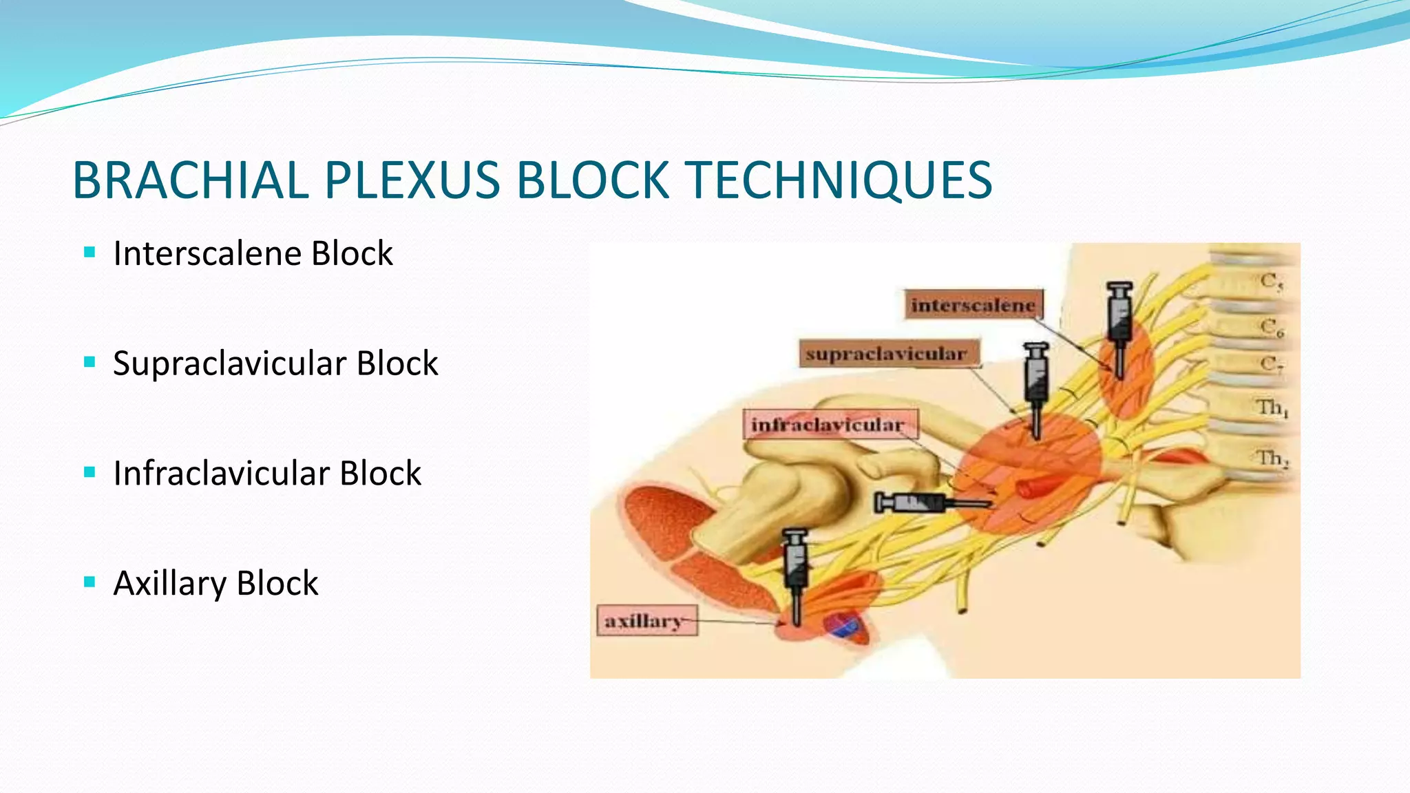 Anatomy of brachial plexus | PPTX