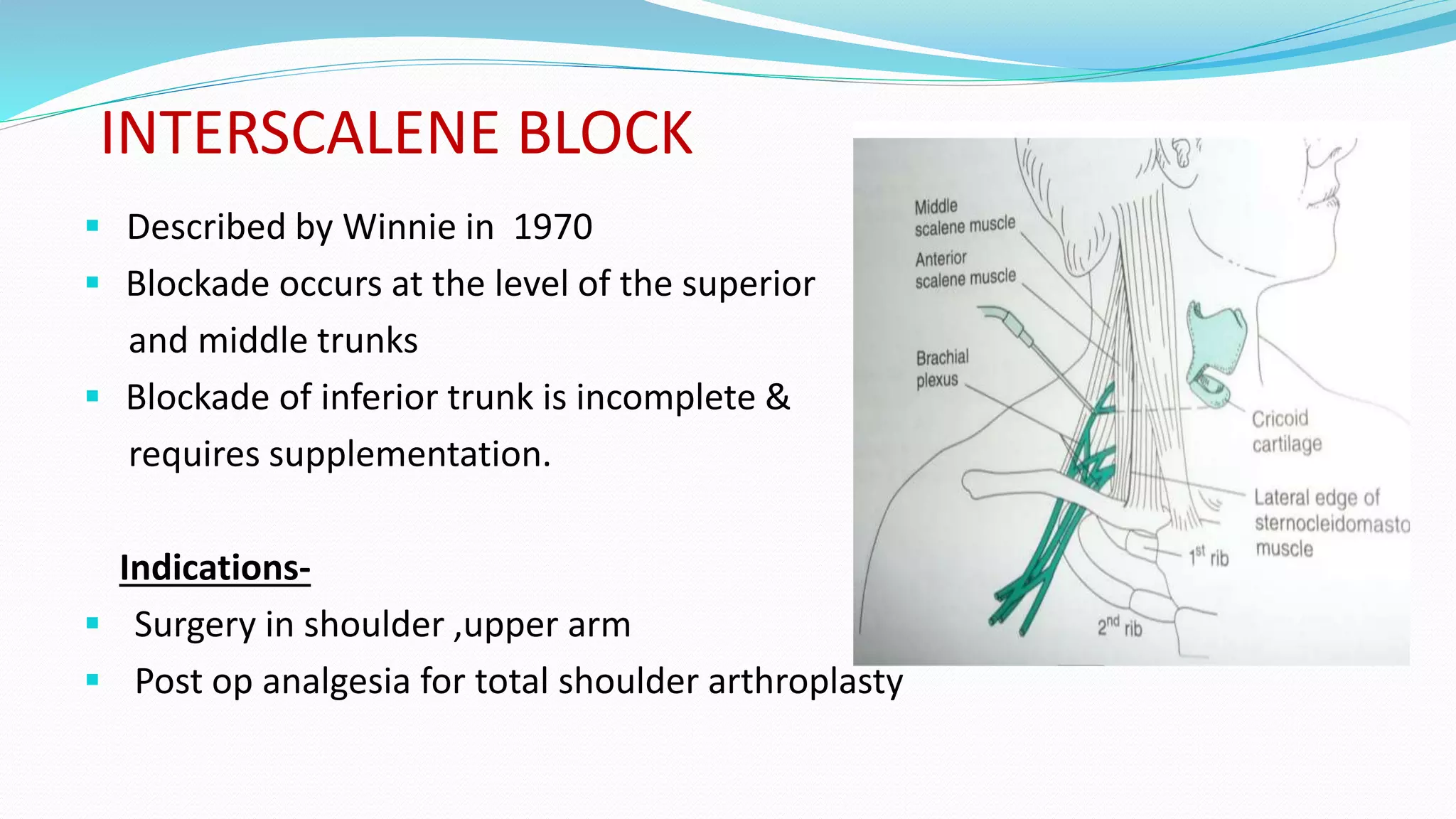 Anatomy of brachial plexus | PPTX