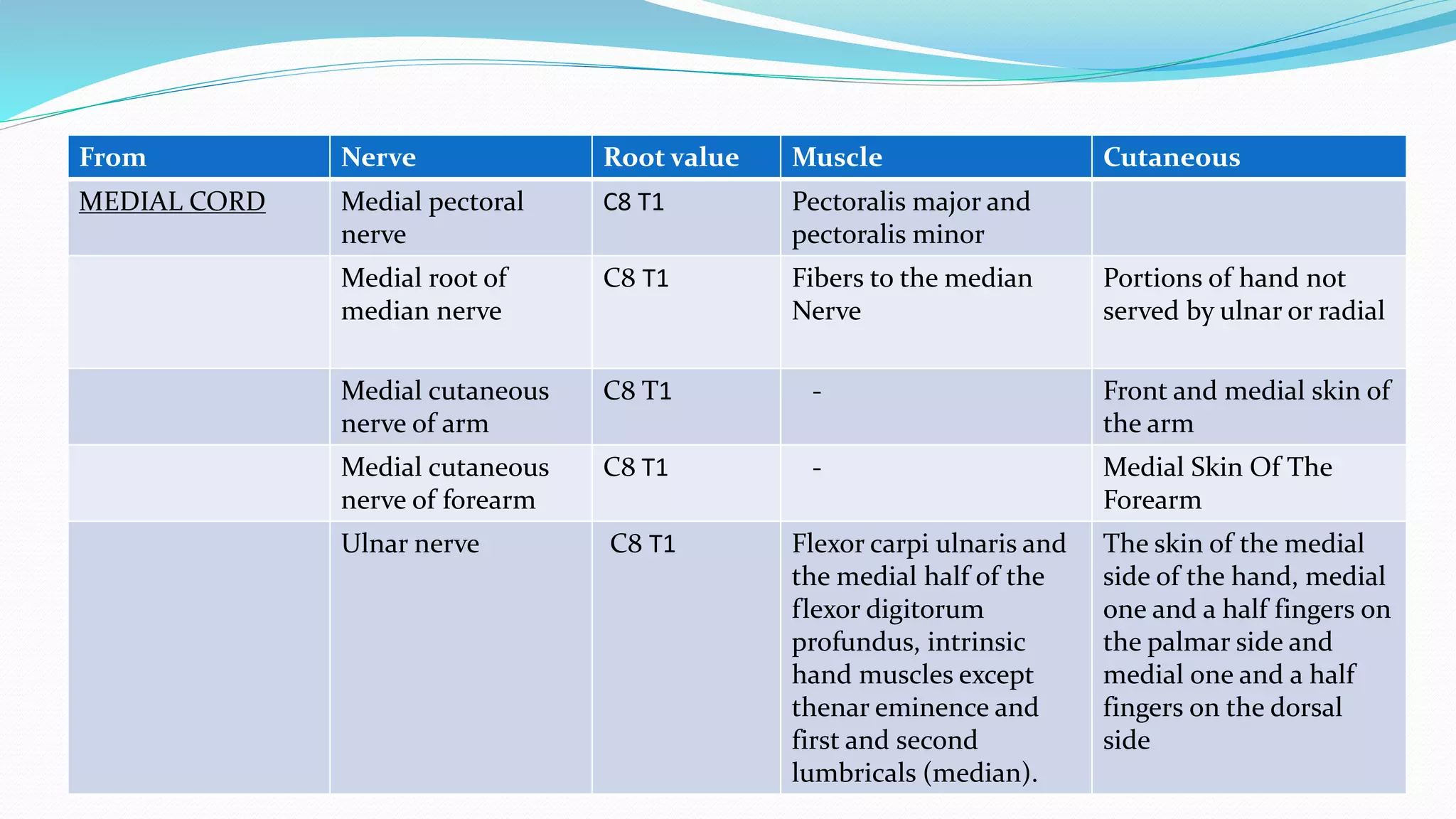 Anatomy of brachial plexus | PPTX