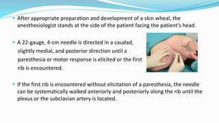 Anatomy of brachial plexus | PPTX