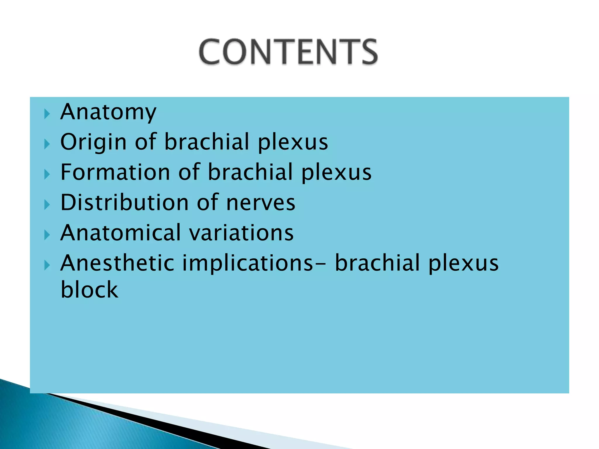 Anatomy of brachial plexus | PPTX