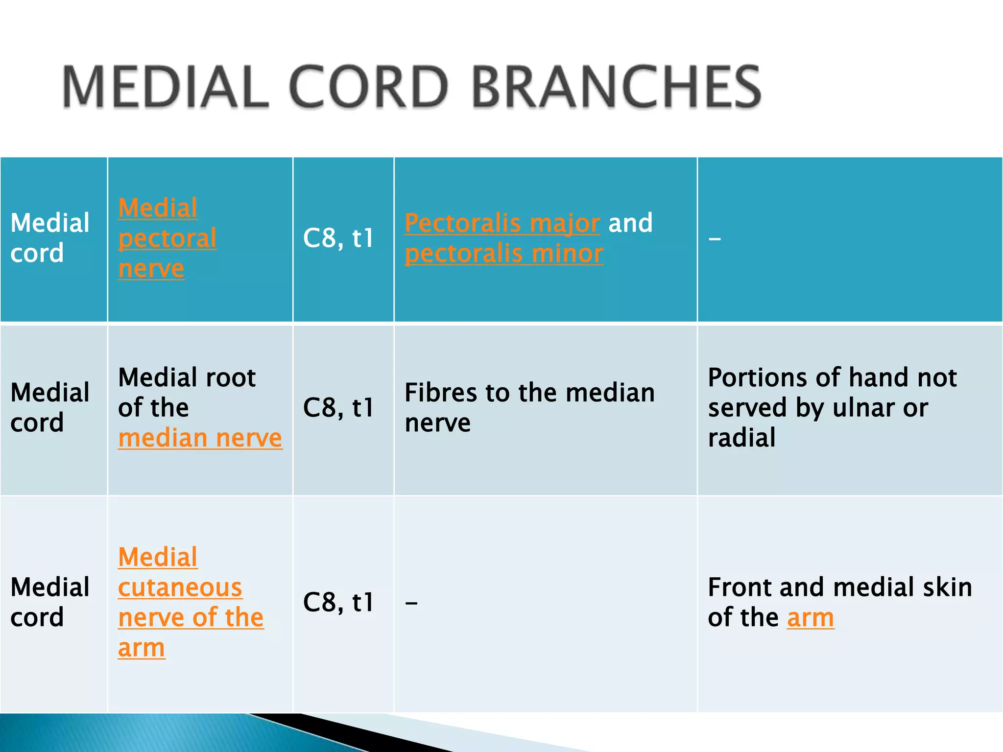 Anatomy of brachial plexus | PPTX