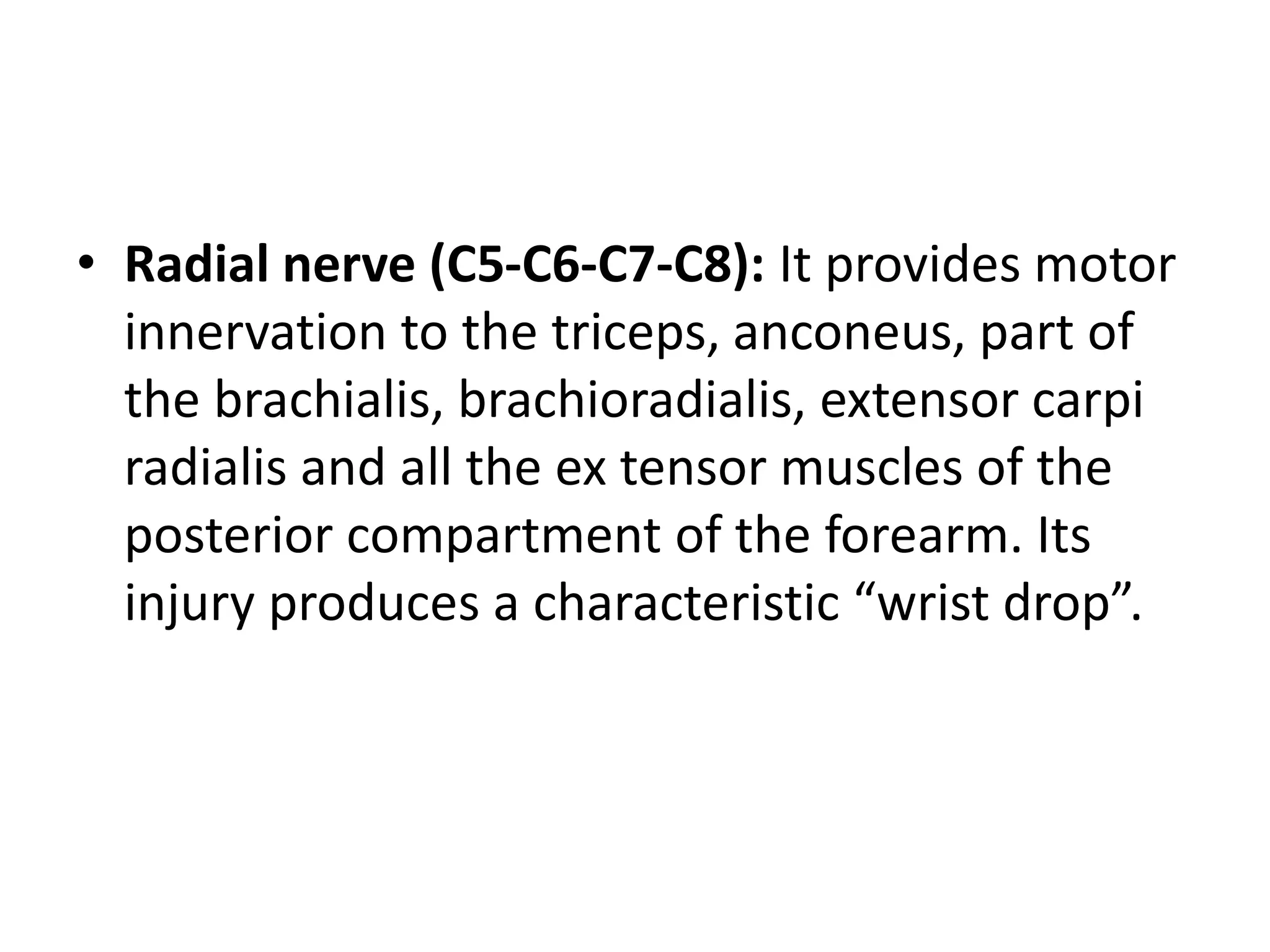 Anatomy of brachial plexus | PPTX