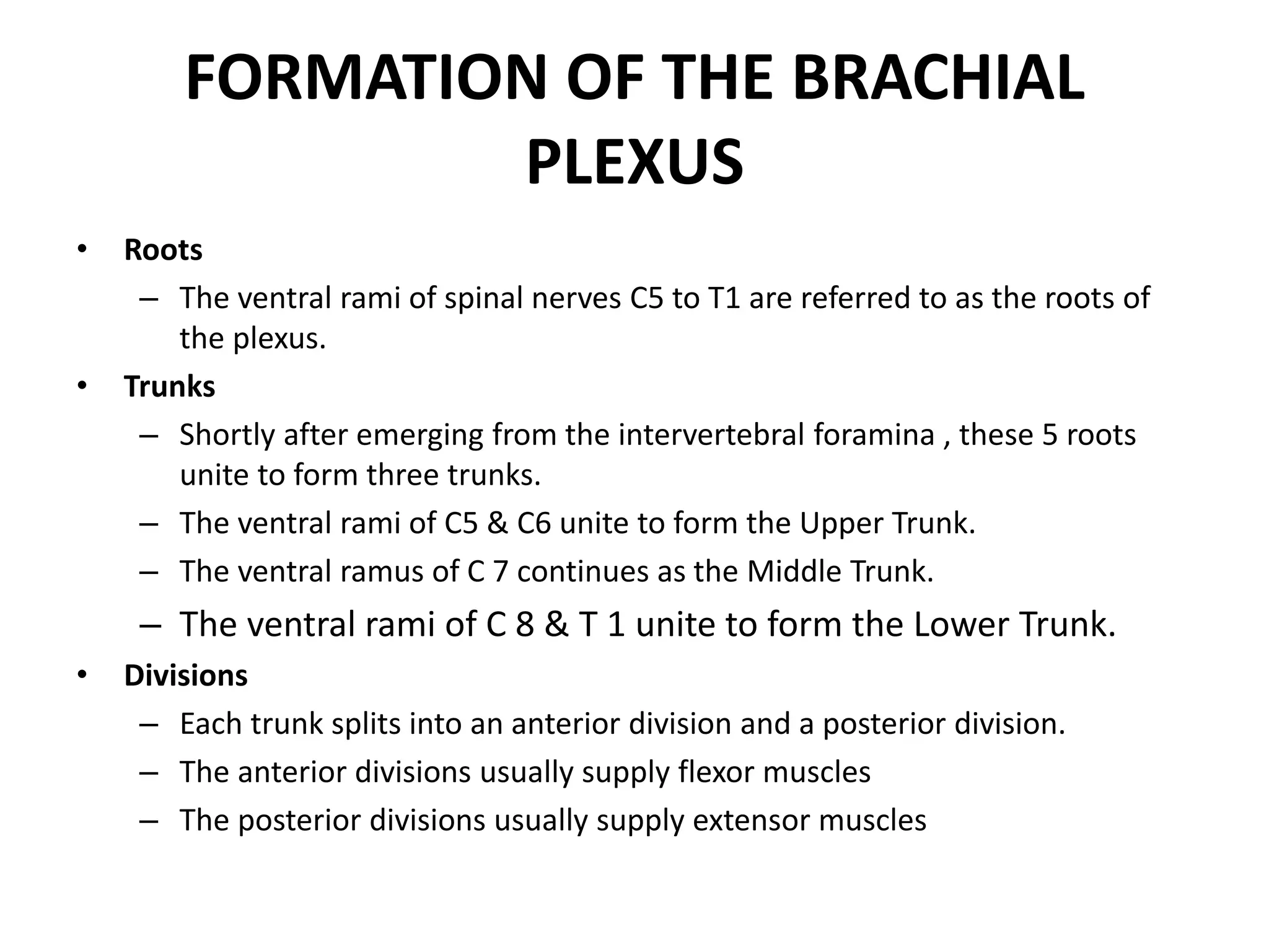 Anatomy of brachial plexus | PPTX