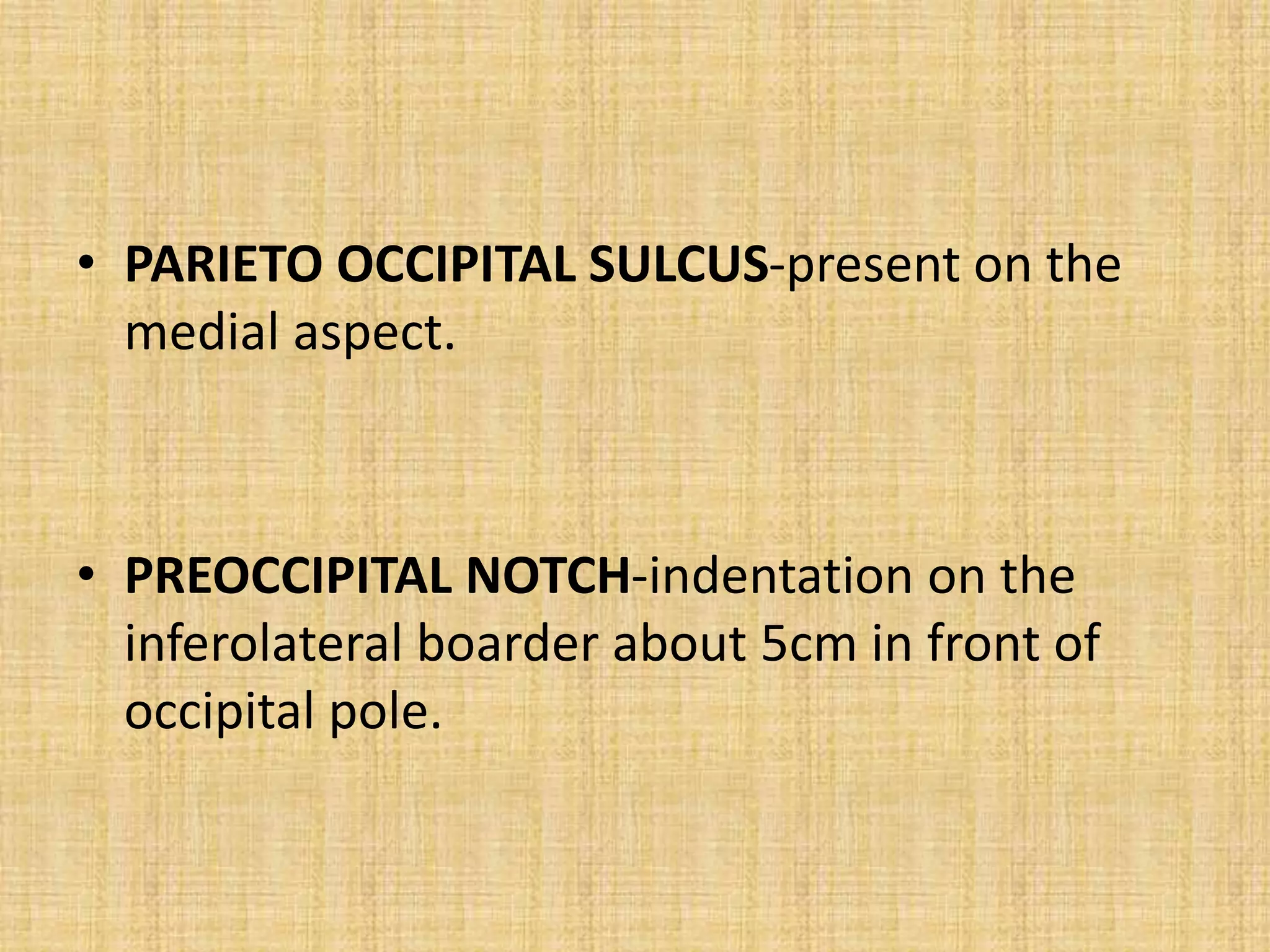 Anatomy of brain | PPTX