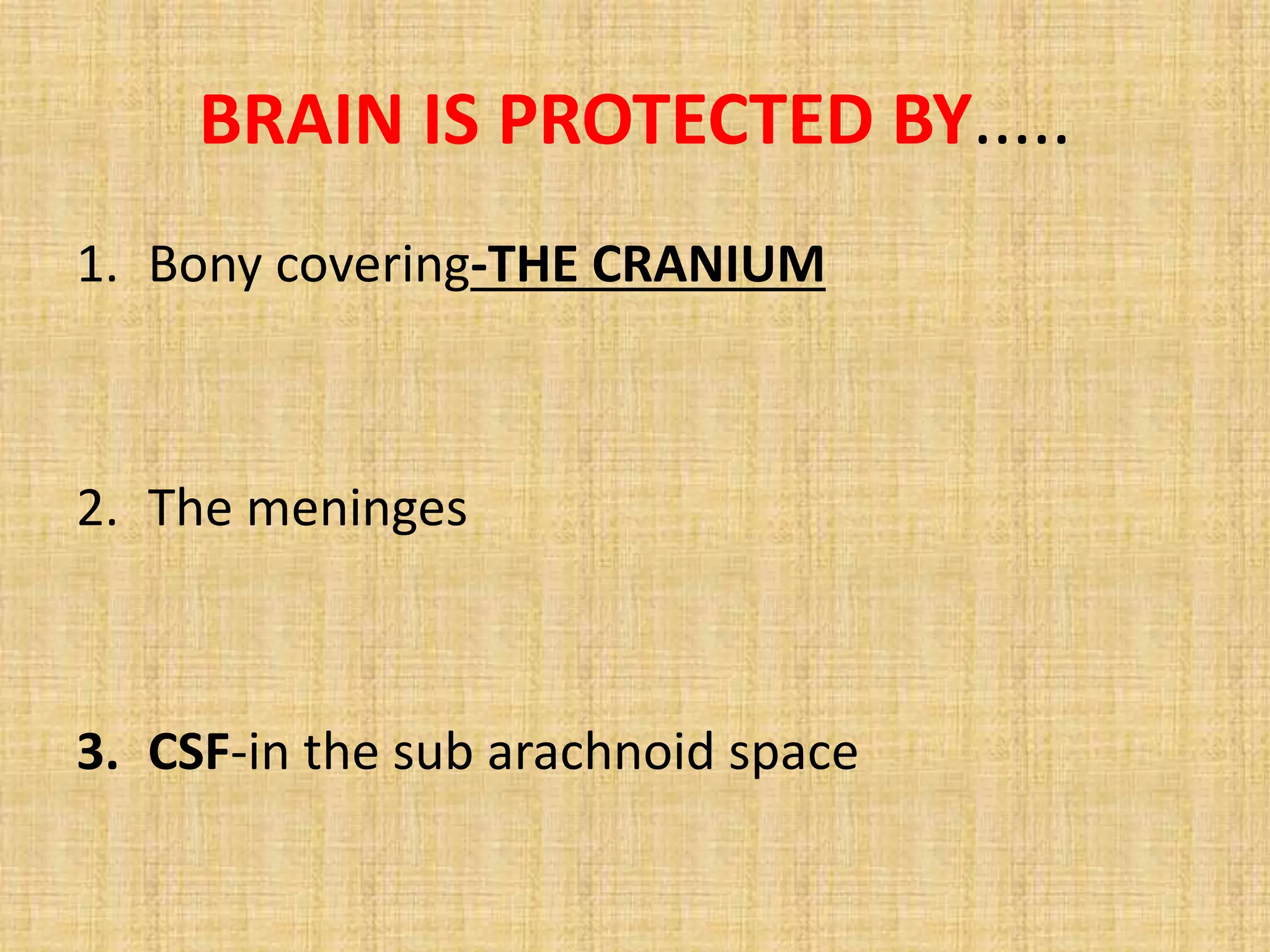 Anatomy of brain | PPTX