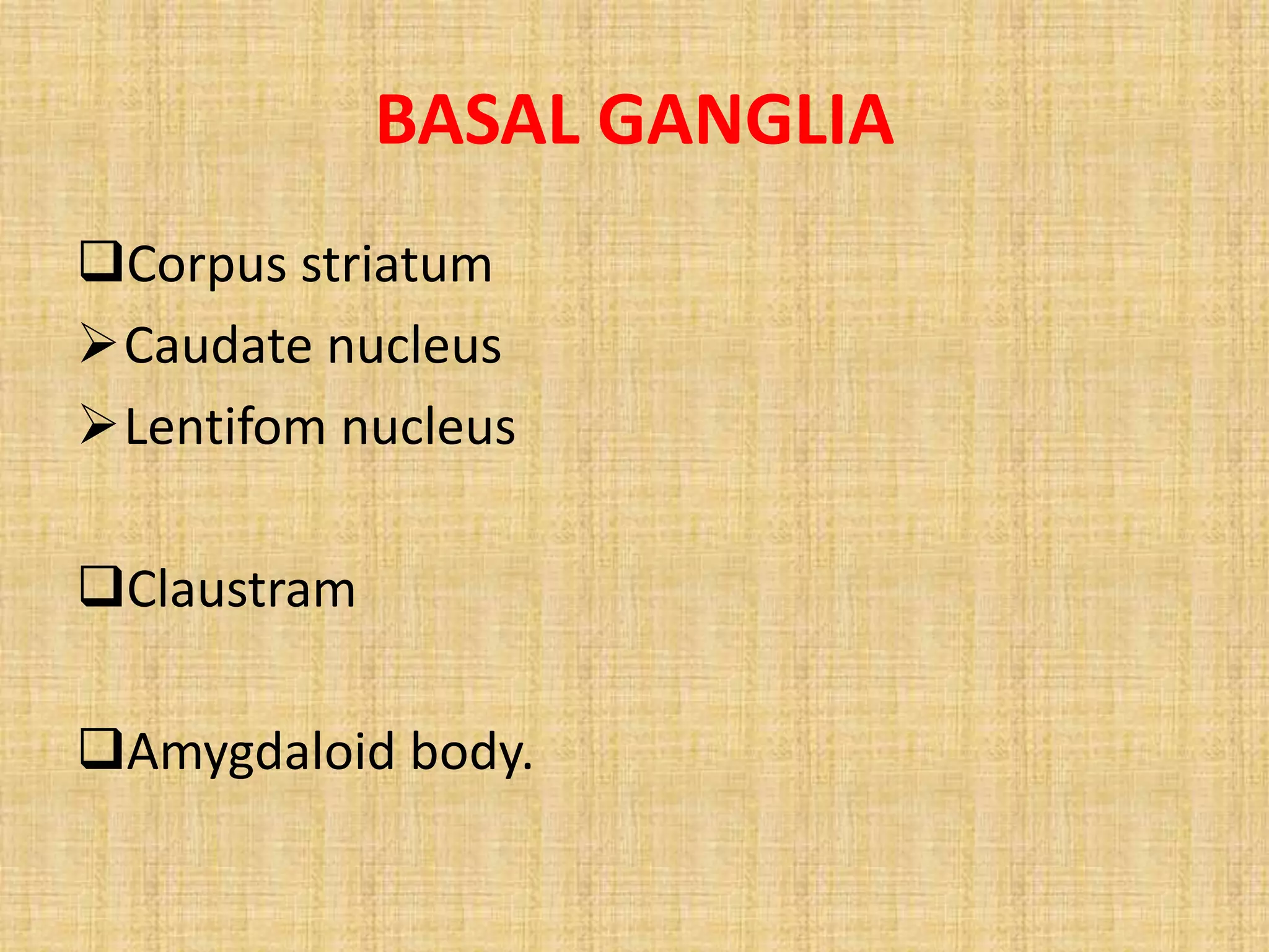 Anatomy of brain | PPTX