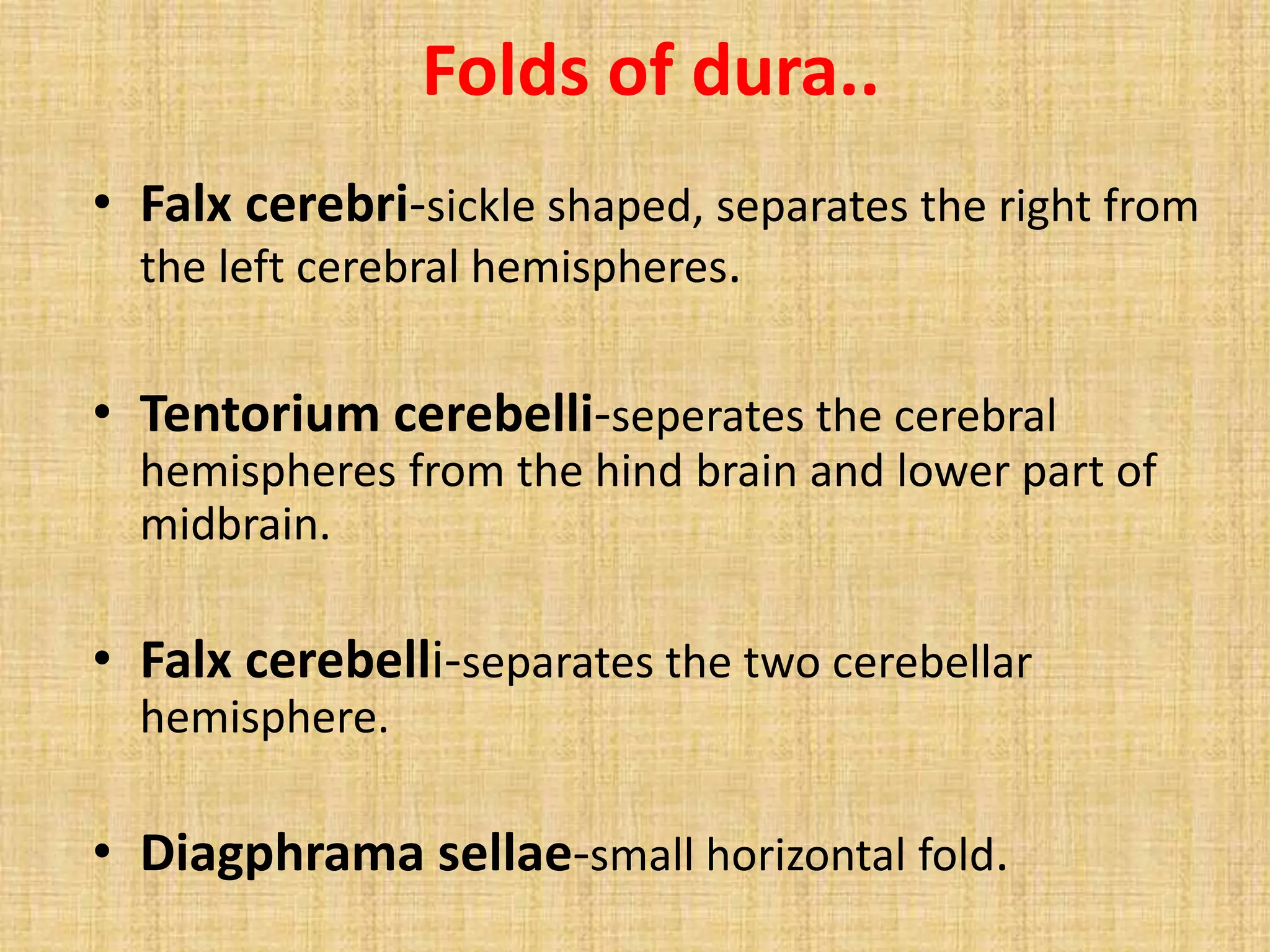 Anatomy of brain | PPTX