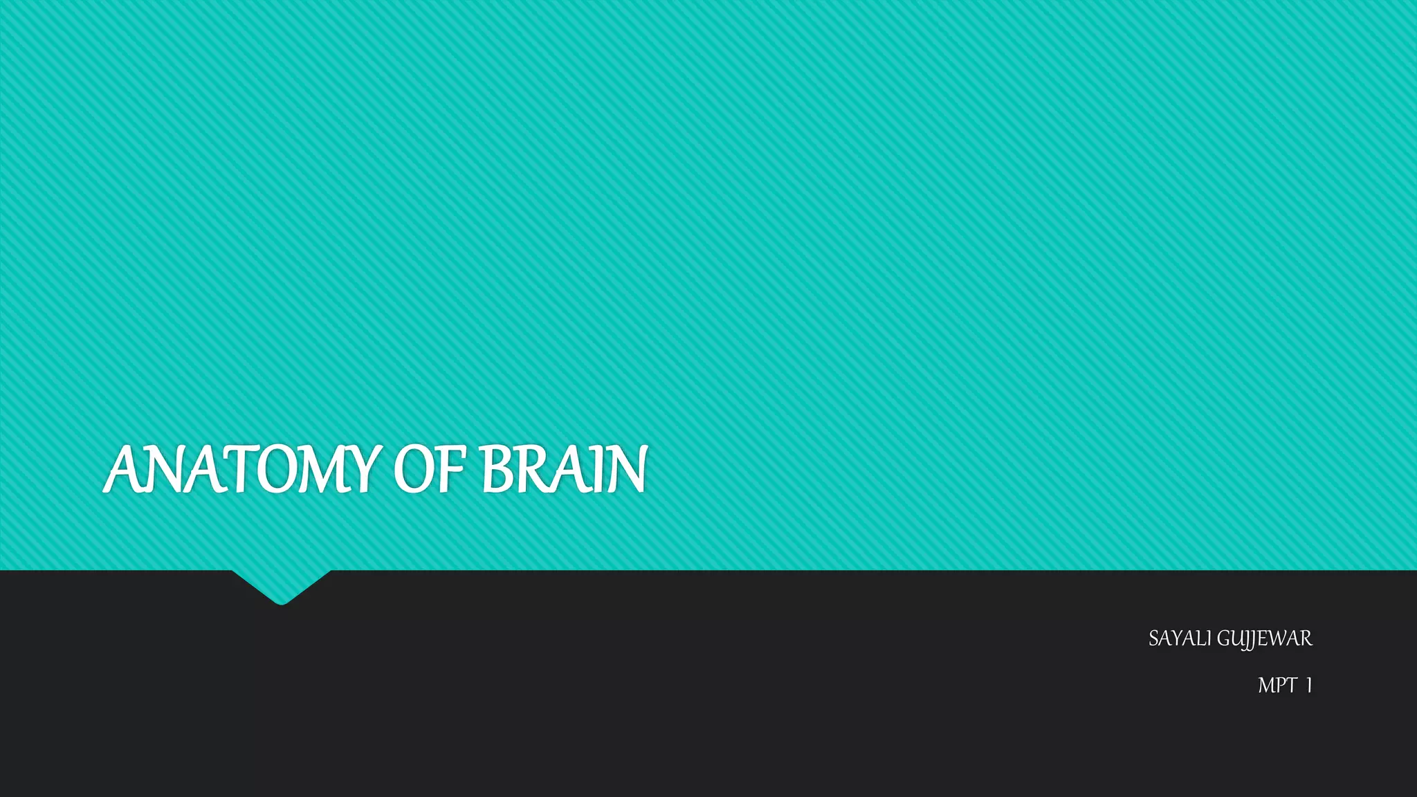 Anatomy of brain | PPTX