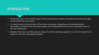 Anatomy of brain | PPTX