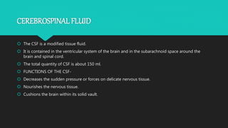 Anatomy of brain | PPTX