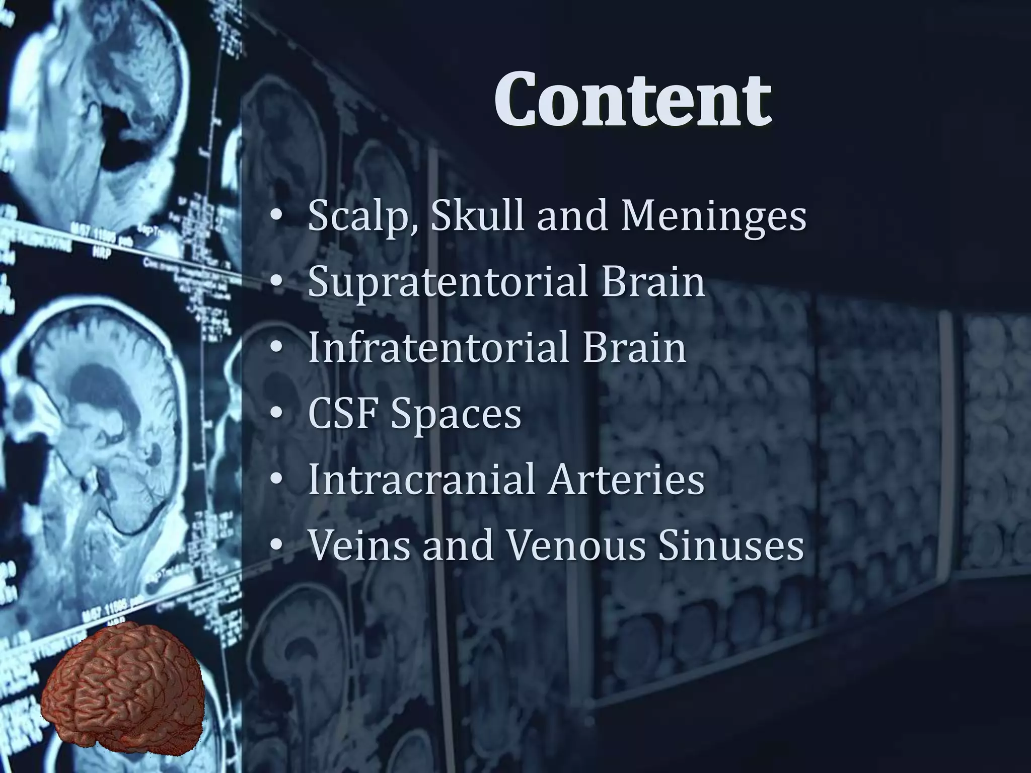 Anatomy of Brain.pptx | Brain and Nervous System Disorders | Diseases and Conditions