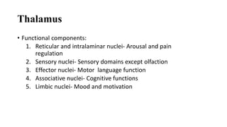 Anatomy of Brain - Traumatic Brain Injury | PPTX