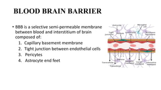 Anatomy of Brain - Traumatic Brain Injury | PPTX