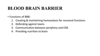 Anatomy of Brain - Traumatic Brain Injury | PPTX