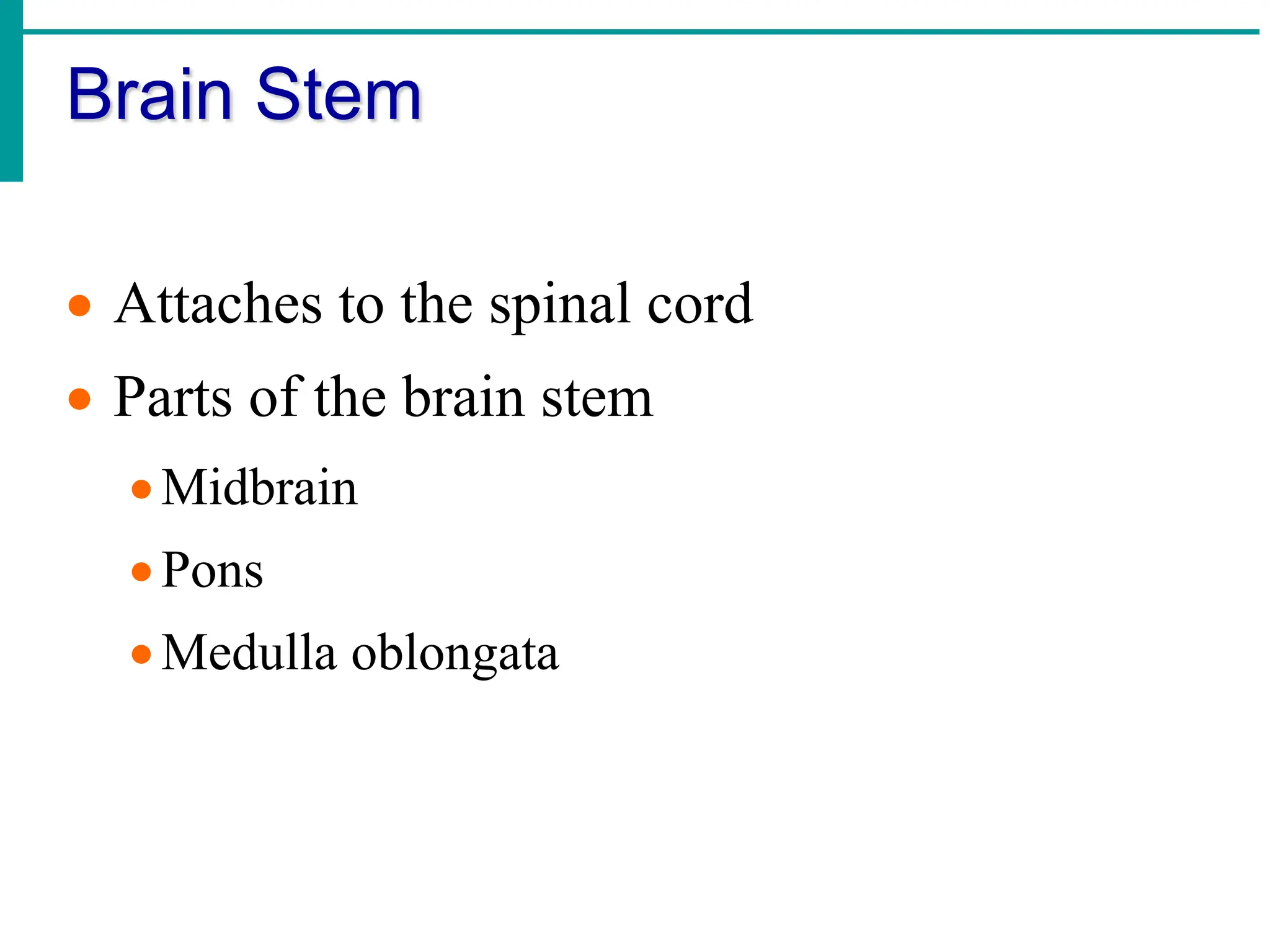Anatomy of brain and Spinal cord (nervous system .ppt | Free Download