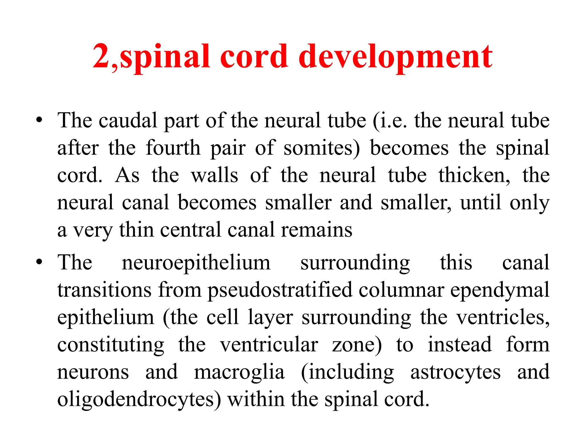 Anatomy of brain and Spinal cord (nervous system .ppt | Free Download