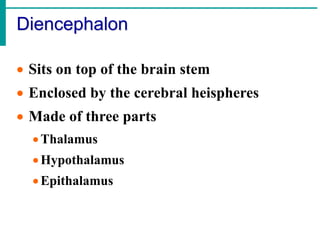 Anatomy of brain and Spinal cord (nervous system .ppt