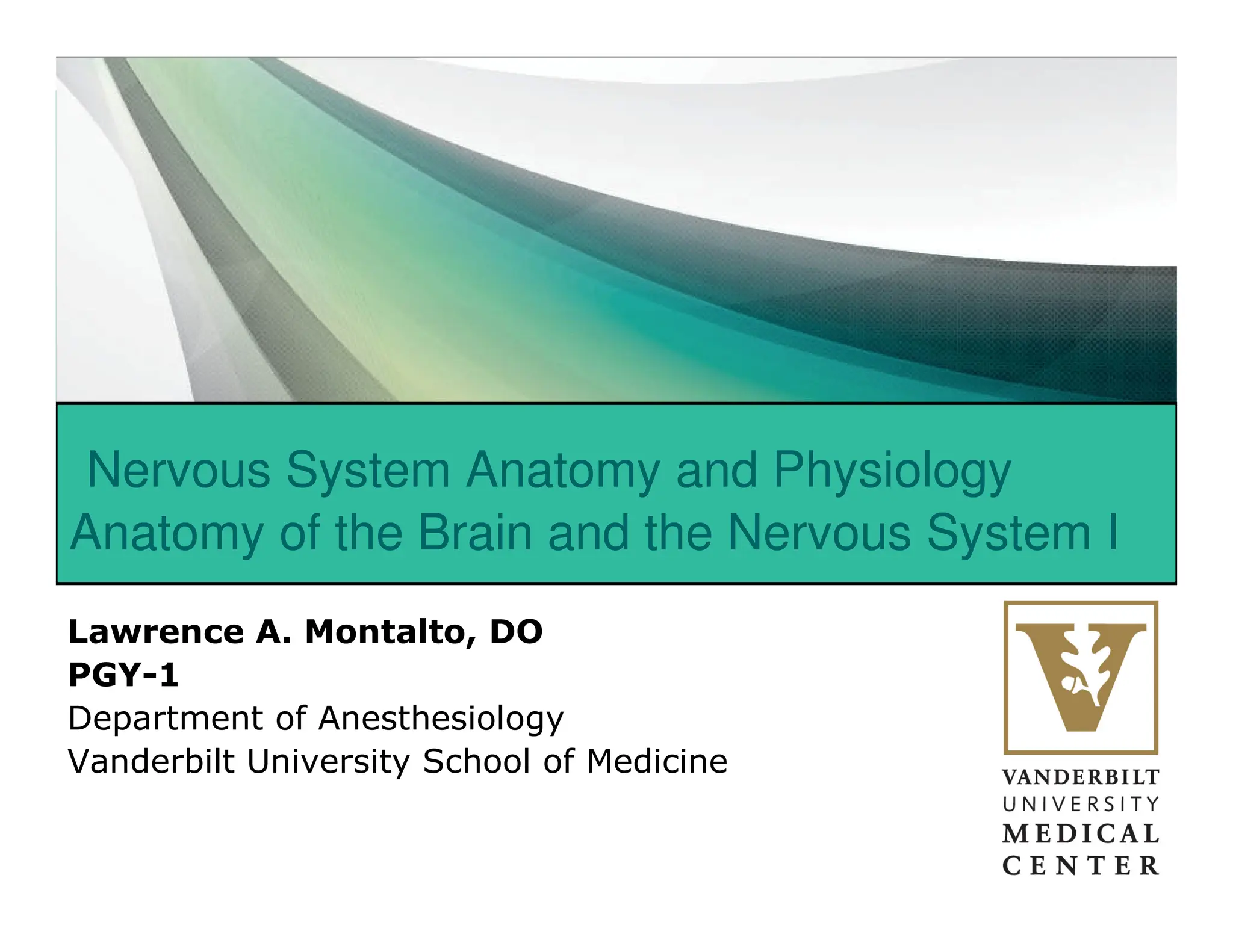 Anatomy of Brain and the Nervous System.pdf